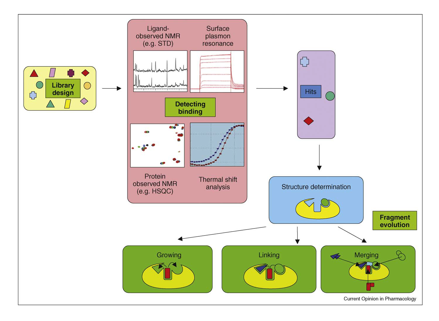 Fragment Based Drug Design and Field-Based Technology - Pharmacelera ...