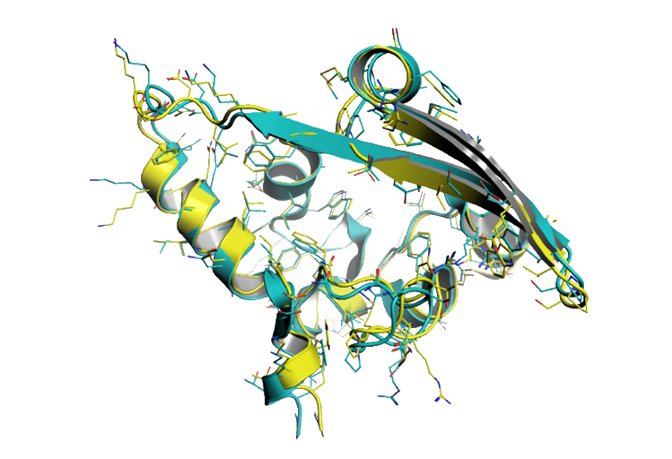 AlphaFold: When Machine Learning meets Proteins