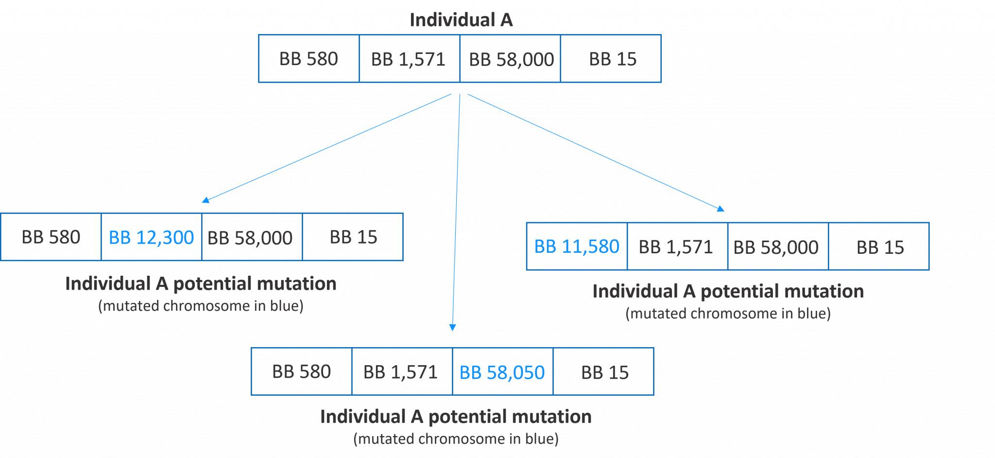 How Genetic Algorithms work? - Pharmacelera